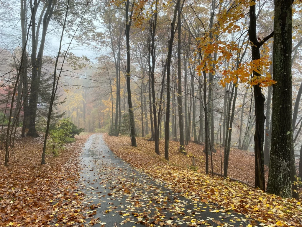 Adult Autism Health Resources for Older Adulthood - Adult Autism